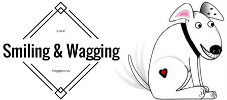 Search – Smiling and Wagging